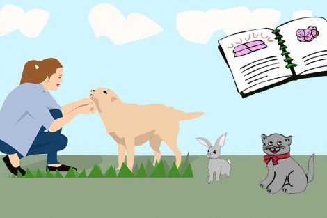 10 Benefits Of Pets - Why Pets Are Good For You? - Petmoo