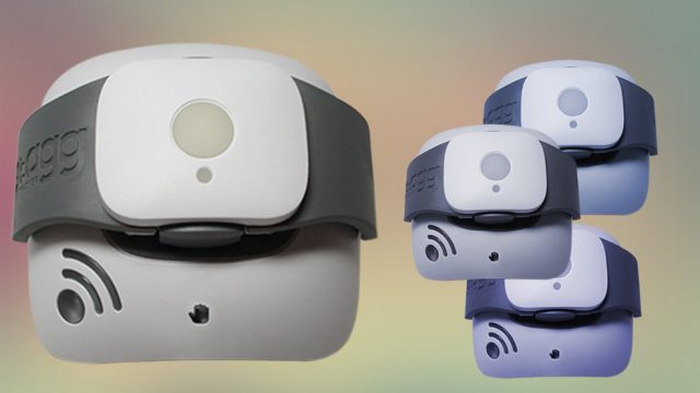 Smart Pet Trackers – To Keep Your Pets Under Watch 24/7 - Petmoo