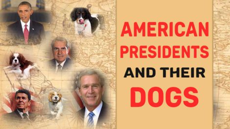 American Presidents And Their First Dogs - Petmoo