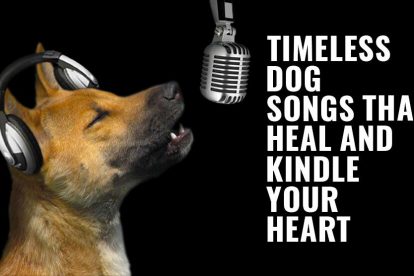 Sad Dog Songs With Lyrics That’ll Make You Cry And Mourn Your Beloved ...