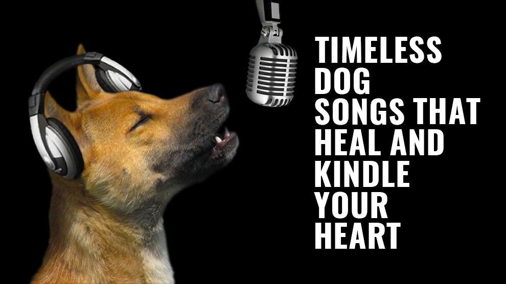 21 Timeless Dog Songs That ll Heal And Kindle Your Heart With Lyrics