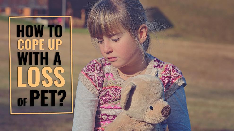How To Cope Up With The Loss Of A Pet? - 6 Essentials You Need - Petmoo