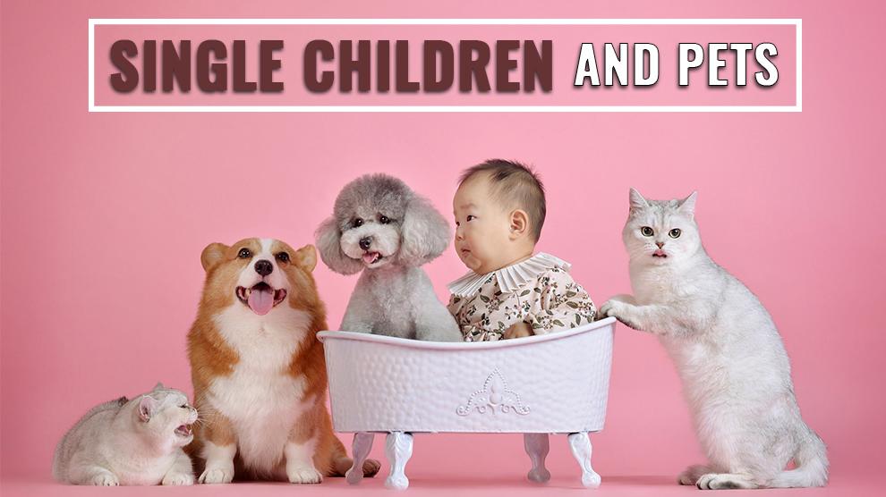 Single Children And Pets - Why Every Child Should Have A Pet? - Petmoo