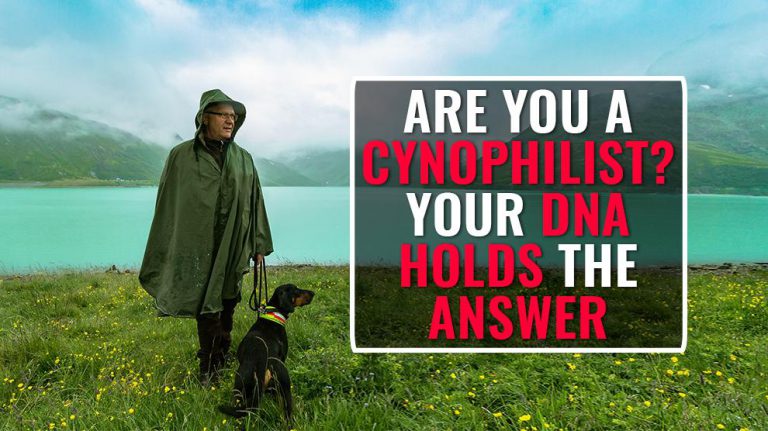 Are You A Cynophilist? Your DNA Holds The Answer - Petmoo