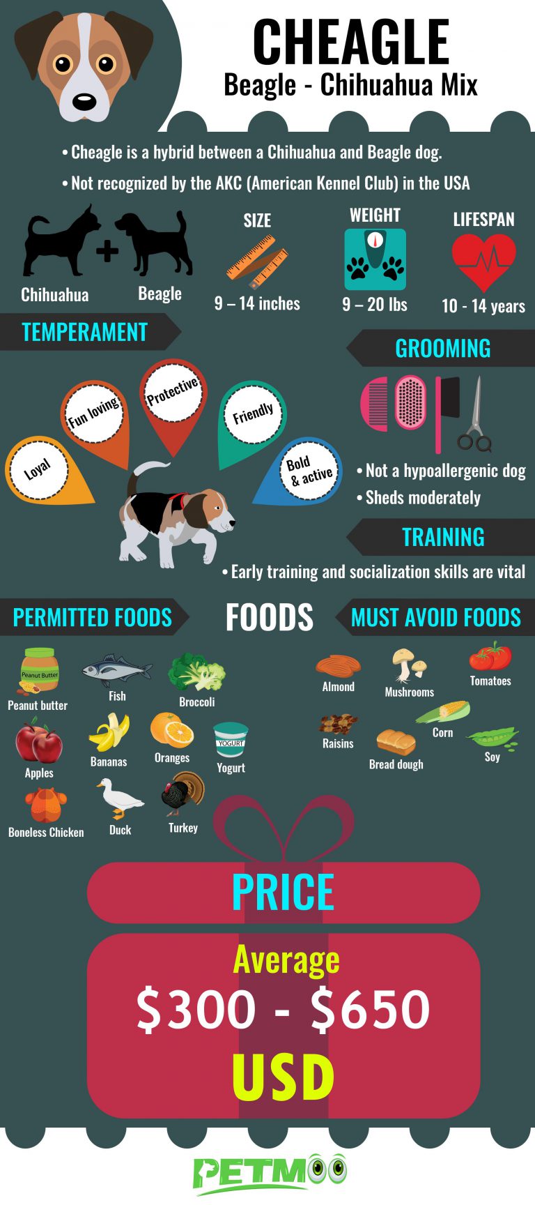 Dog Breeds Infographics - Petmoo