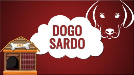 Dogo Sardo - Dog Breed Information With History And Traits - Petmoo