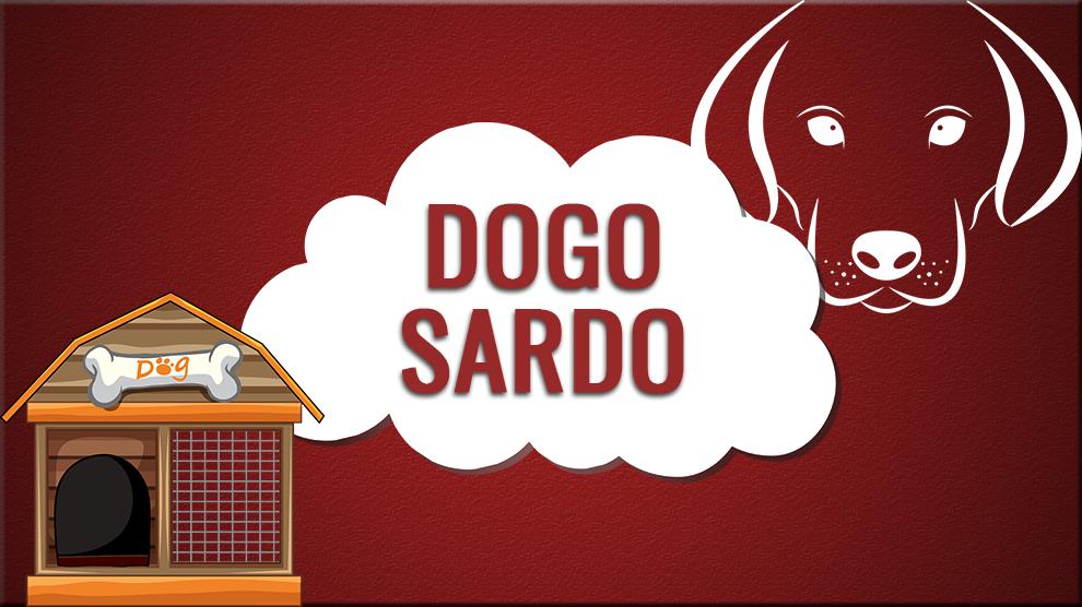 Dogo Sardo - Dog Breed Information With History And Traits - Petmoo