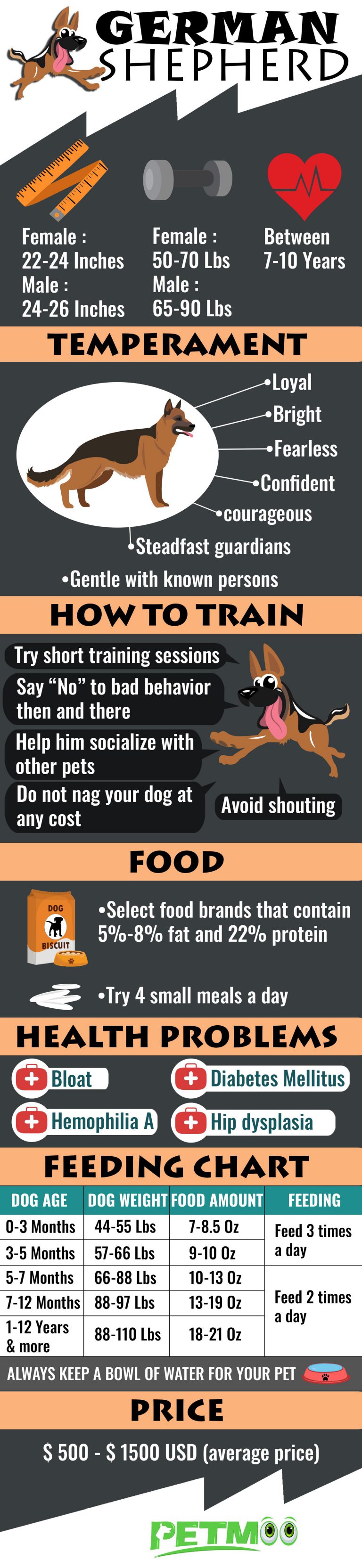 German Shepherd - Dog Breed Information And Health Problems - Petmoo