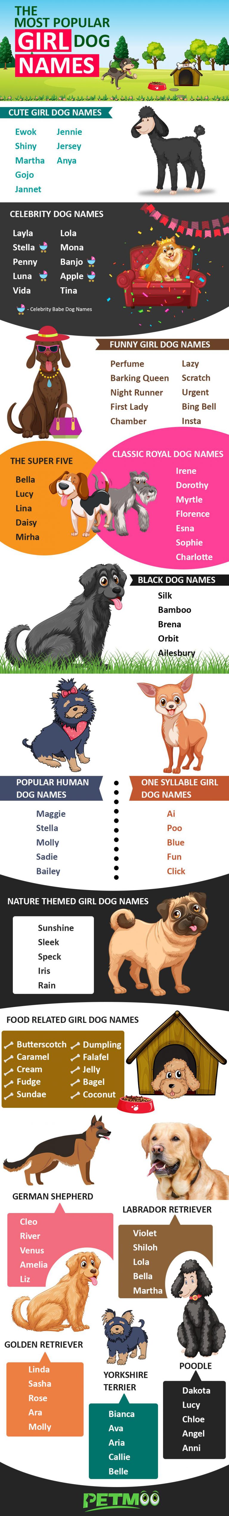 Girl Dog Names - Top Female Dog Names Of 2022 Backed With Vibrant ...