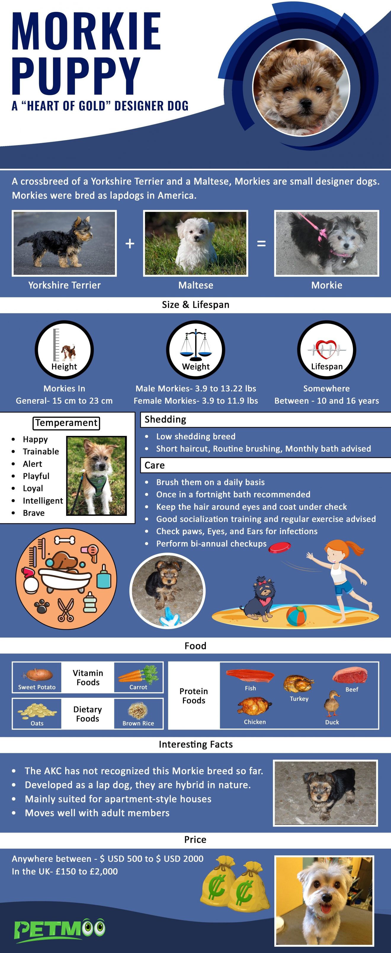 Dog Breeds Infographics - Petmoo