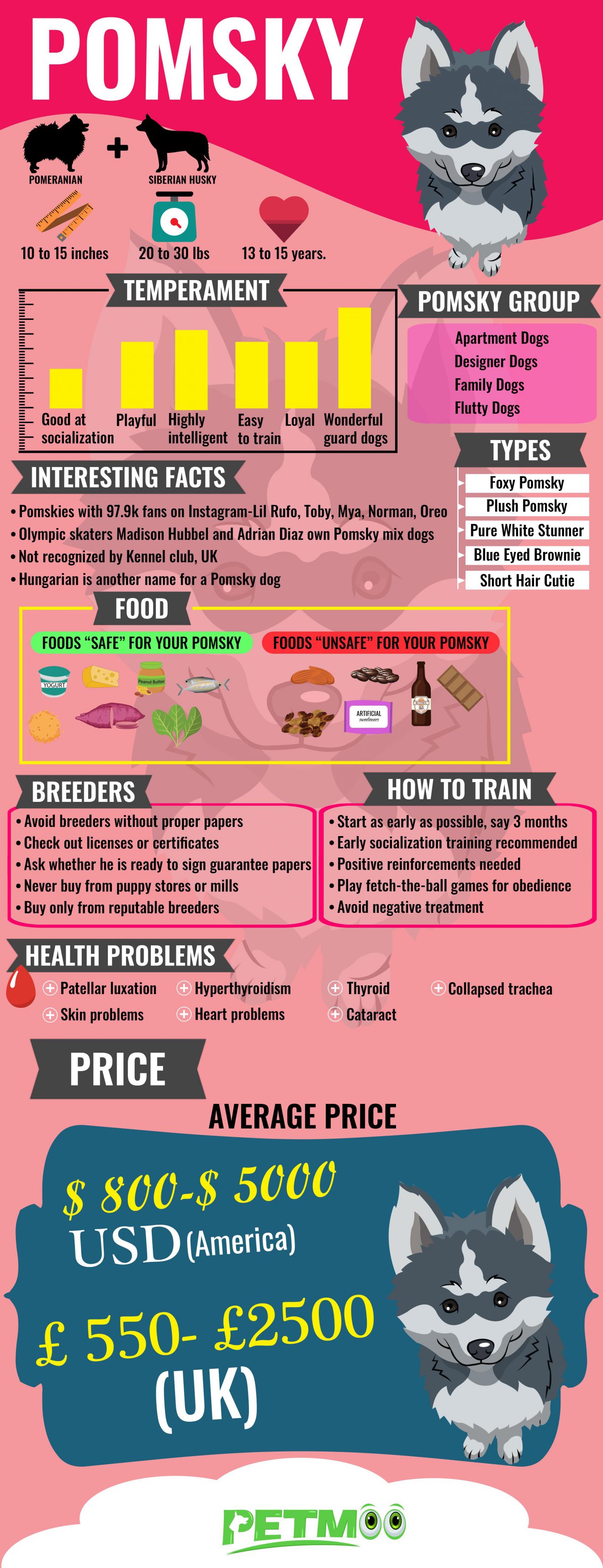 Dog Breeds Infographics - Petmoo