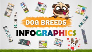 Dog Breeds Infographics - Petmoo
