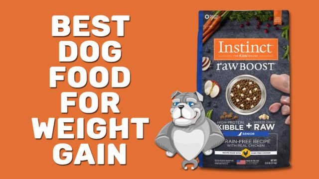 9 Best Dog Food For Weight Gain In 2025 - A Complete Review - Petmoo