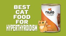 10 Best Cat Food For Hyperthyroidism In 2025 - Petmoo