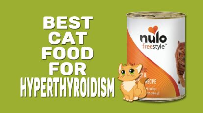 10 Best Cat Food For Hyperthyroidism In 2025 - Petmoo