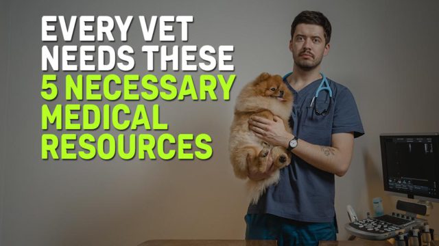 Every Vet Needs These 5 Necessary Medical Resources - Petmoo