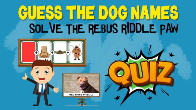 Guess The Dog Names - Solve The Rebus Dog Puzzle - Petmoo