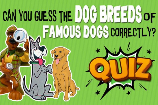 Guess The Dog Names - Solve The Rebus Dog Puzzle - Petmoo