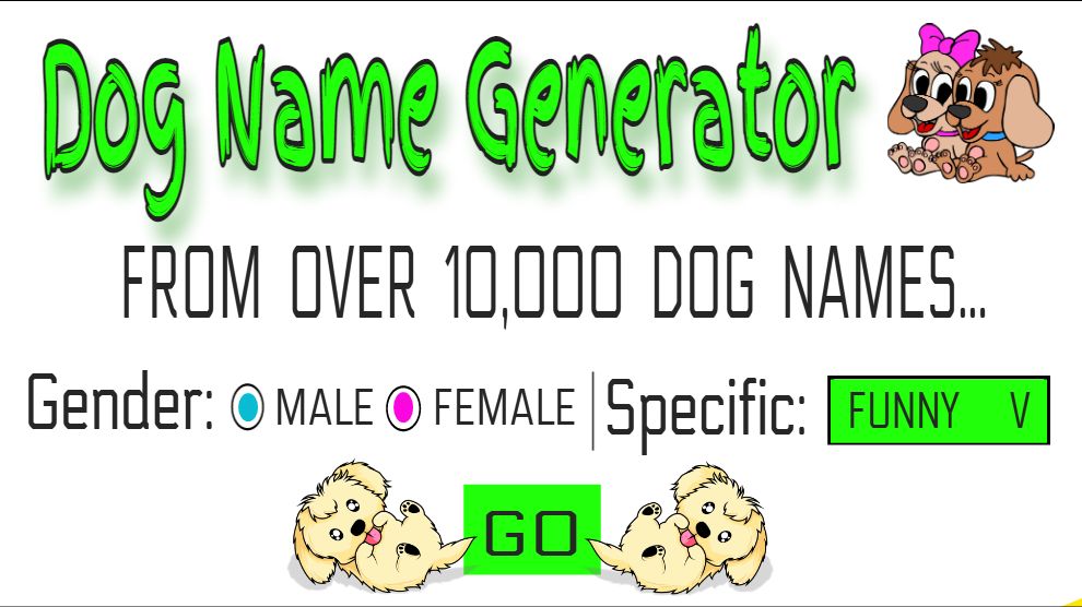 Dog Name Generator Petmoo Dog Name Generator Petmoo