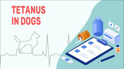 Tetanus In Dogs - Symptoms, Causes, & Treatments - Petmoo