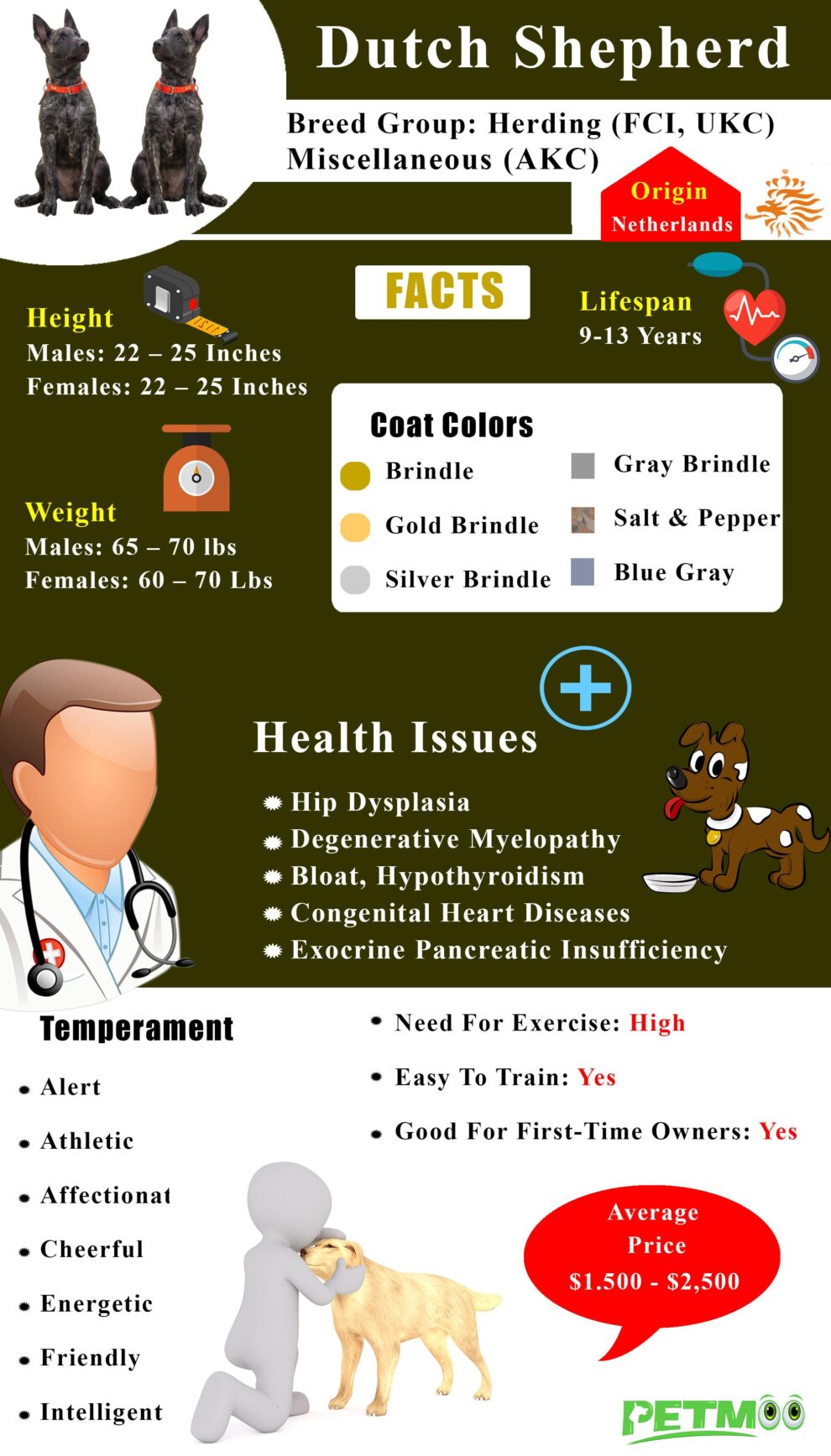 Dutch Shepherd - Dog Breed Information - Petmoo